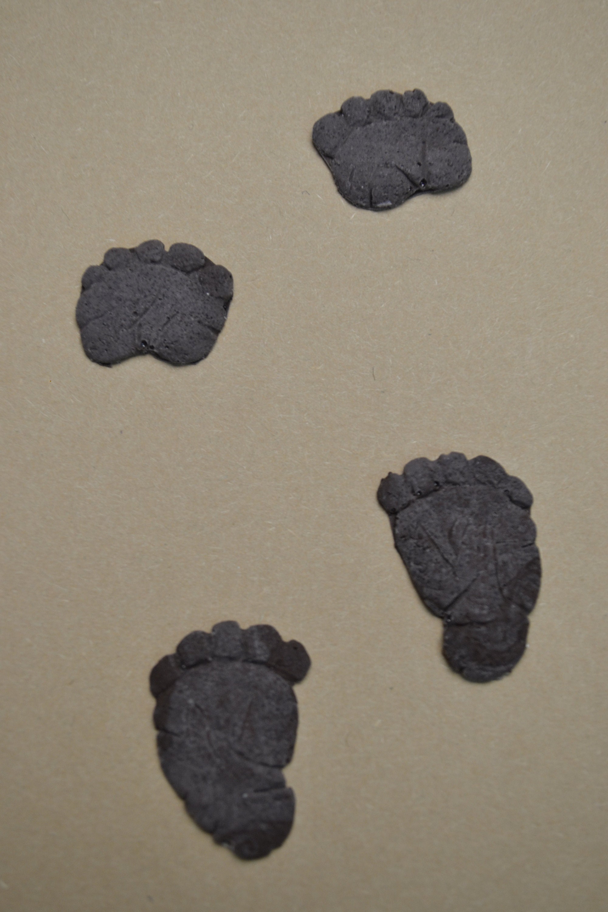 Sculpted Teddy Bear Paws for Soft Realistic Animals | Etsy
