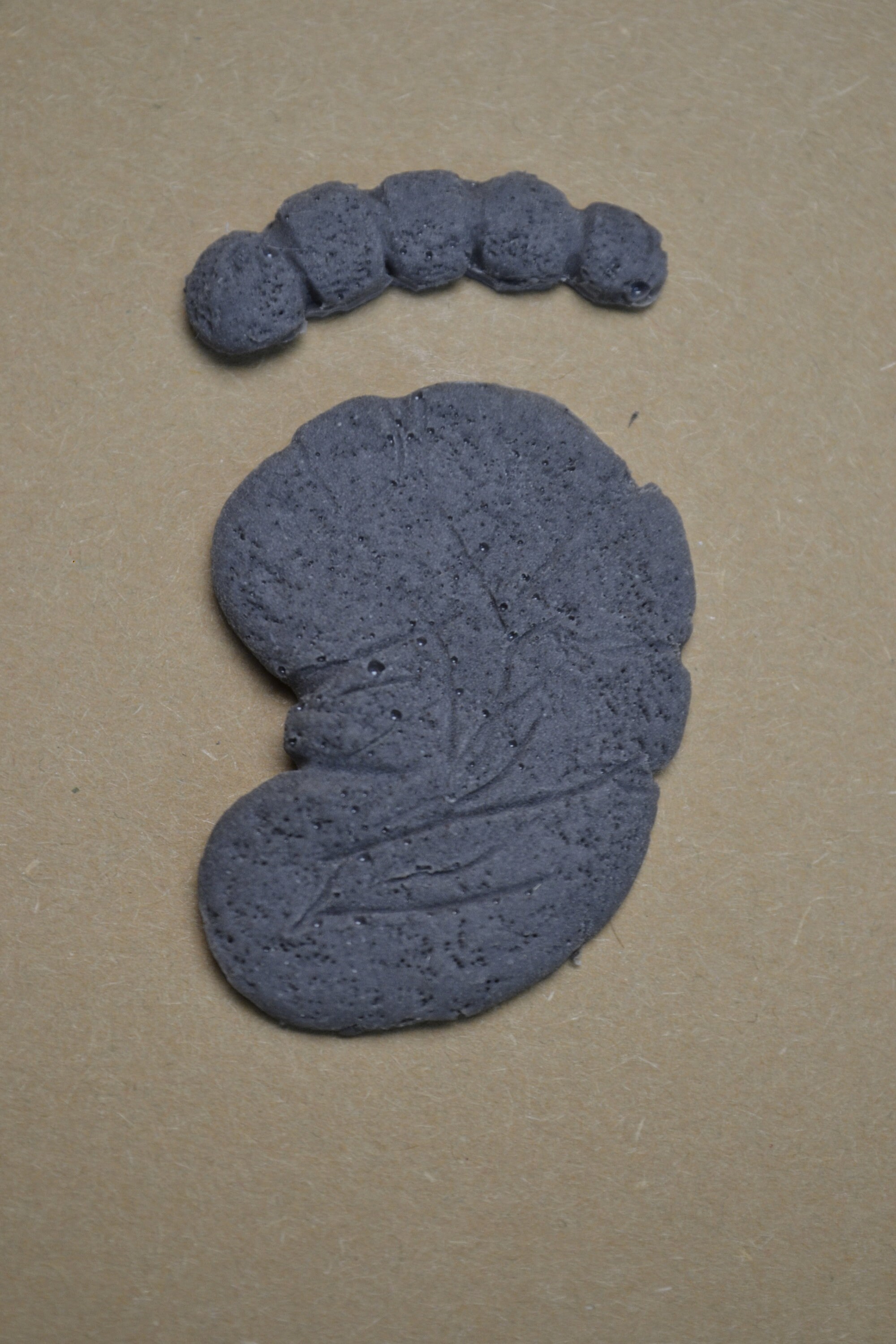 Sculpted Teddy Bear Paws for Soft Realistic Animals - Etsy
