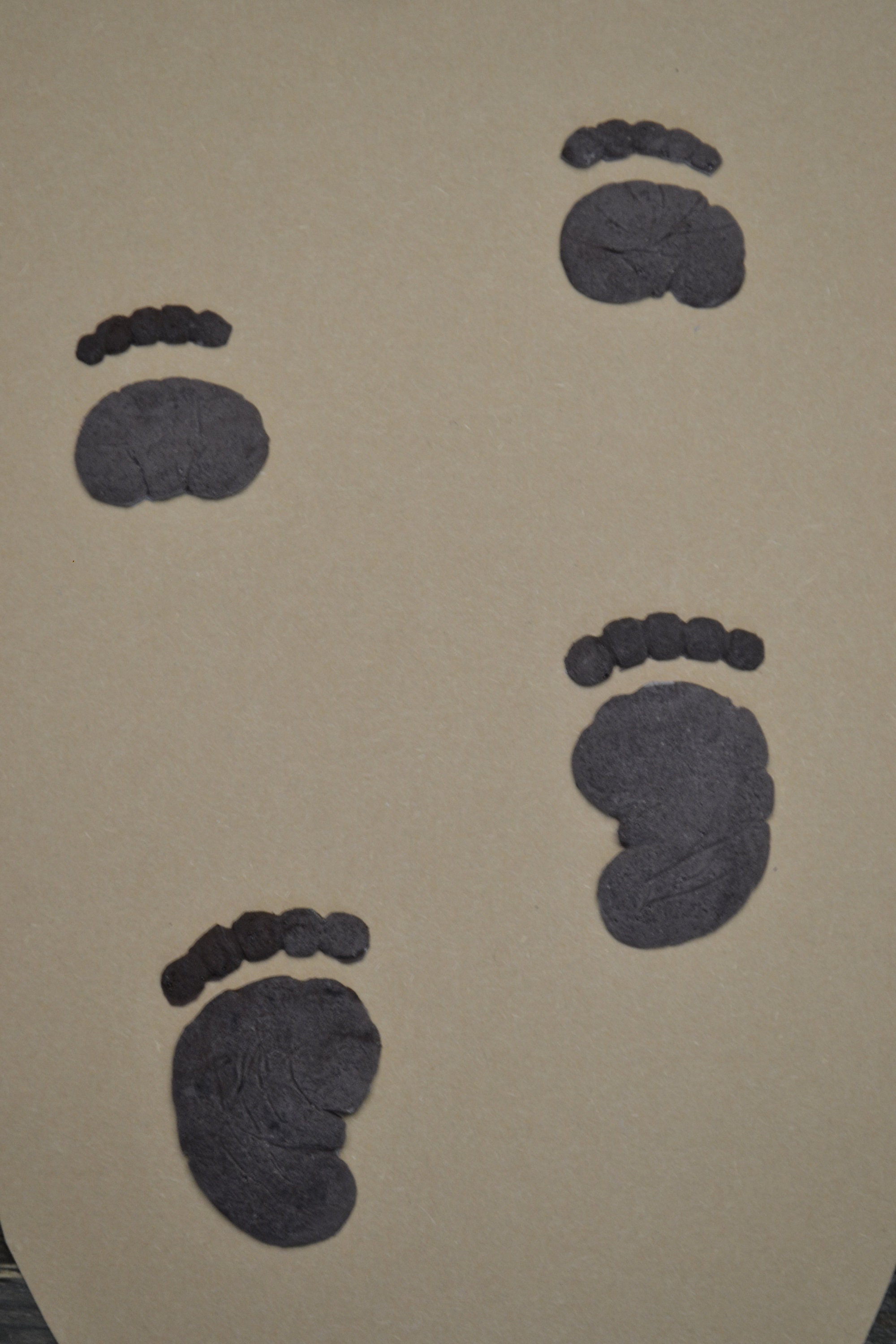 Sculpted Teddy Bear Paws for Soft Realistic Animals - Etsy