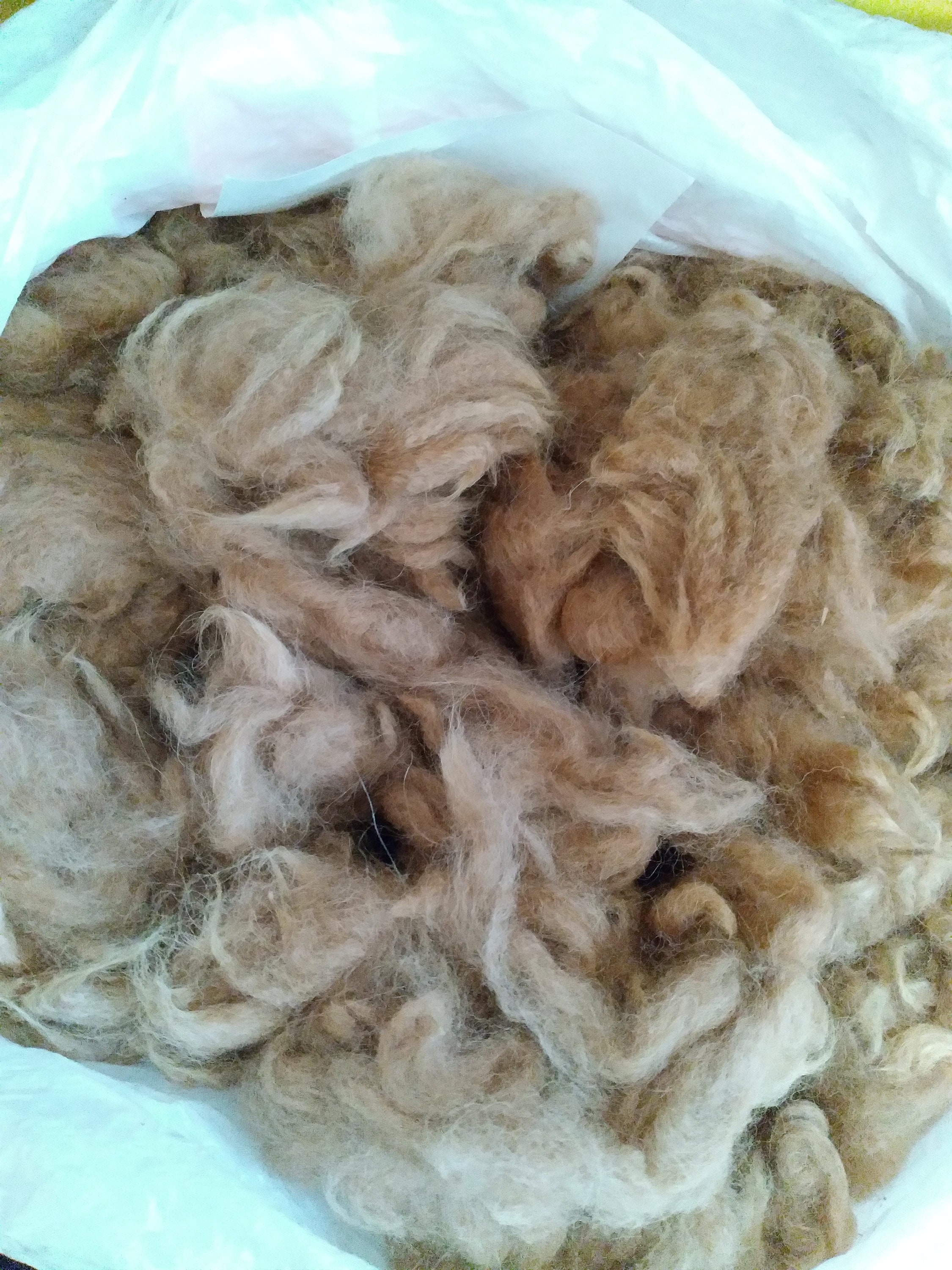 Alpaca Fiber Raw/washed - Etsy