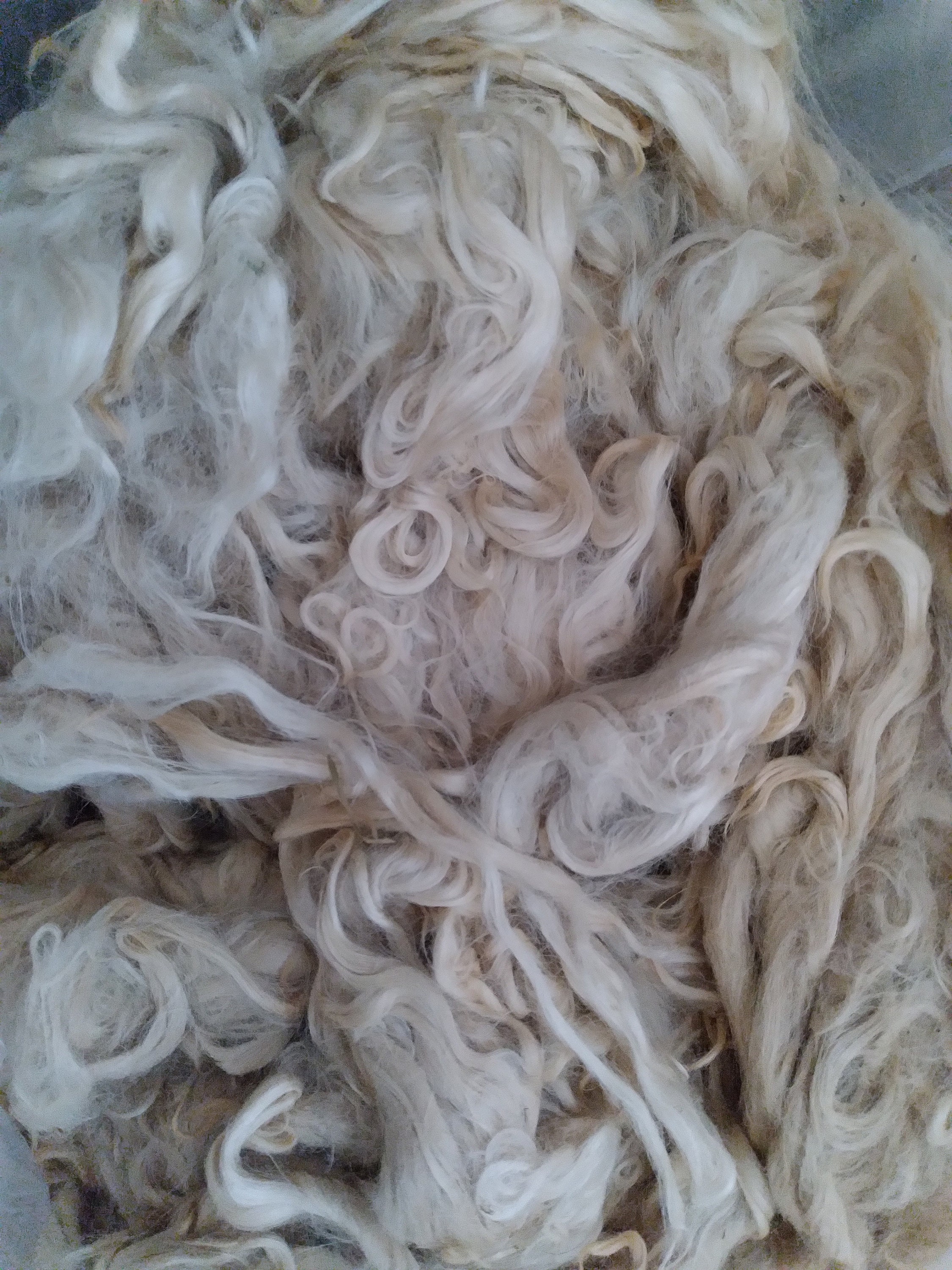 Alpaca Fiber Raw/washed - Etsy