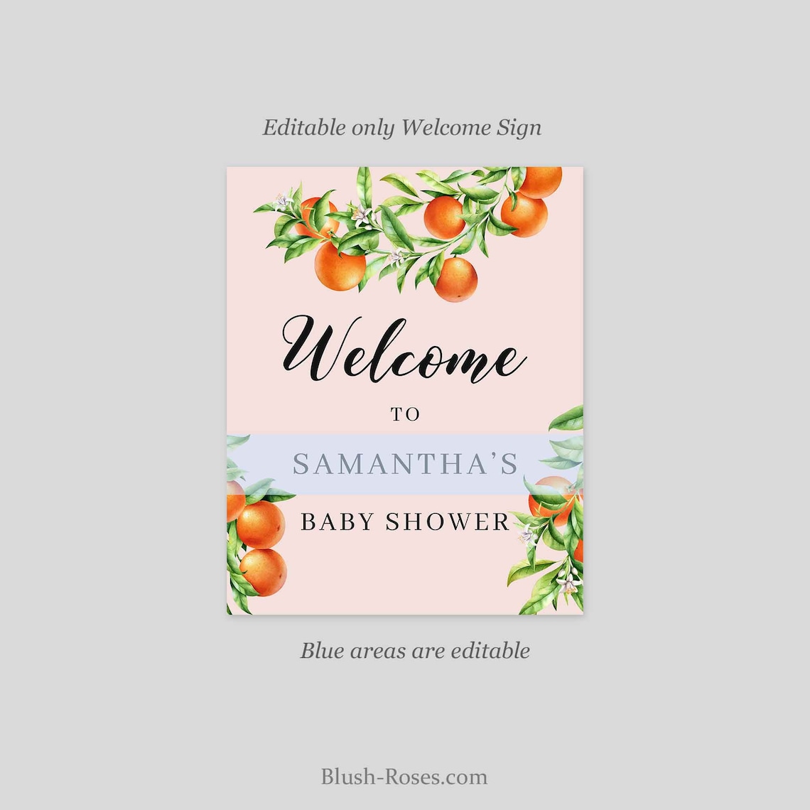 Citrus Orange Baby Shower Signs Bundle Pack Printable Template | Etsy