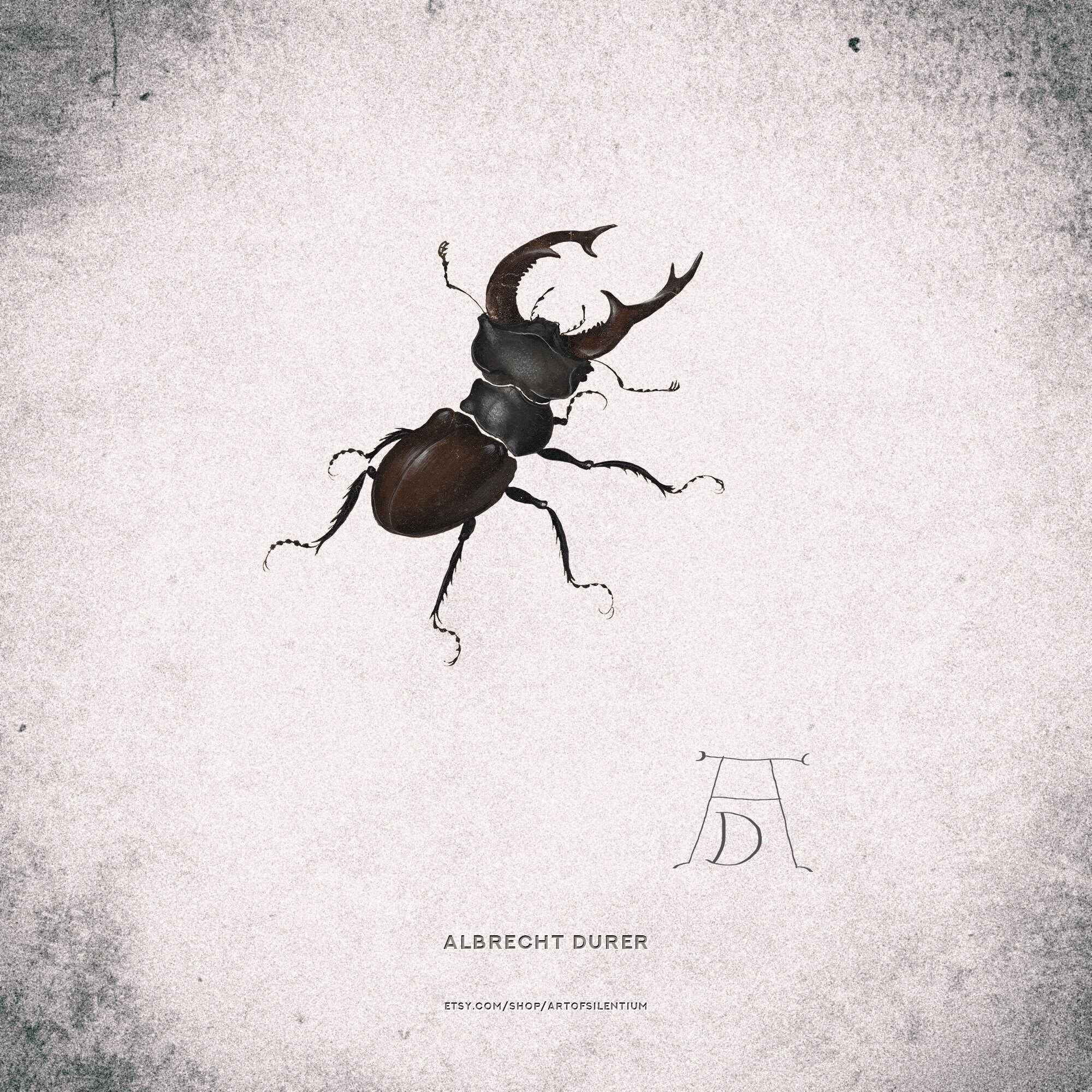 Albrecht Durer Sticker Stag Beetle Sticker Insect Sticker | Etsy