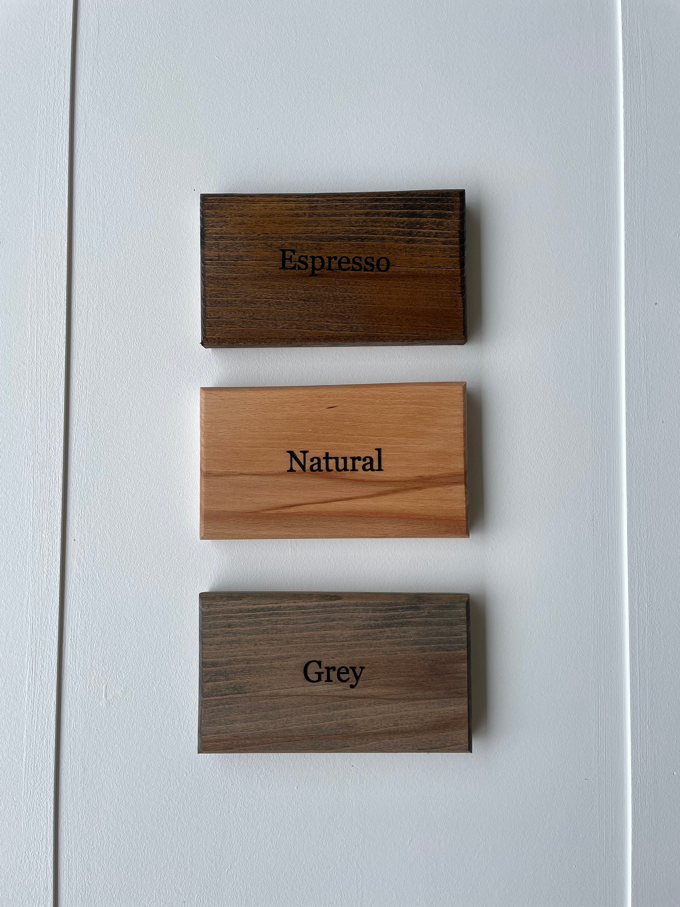 European Bear Skull Wall Mount With Pine Tree Mountains Custom European ...