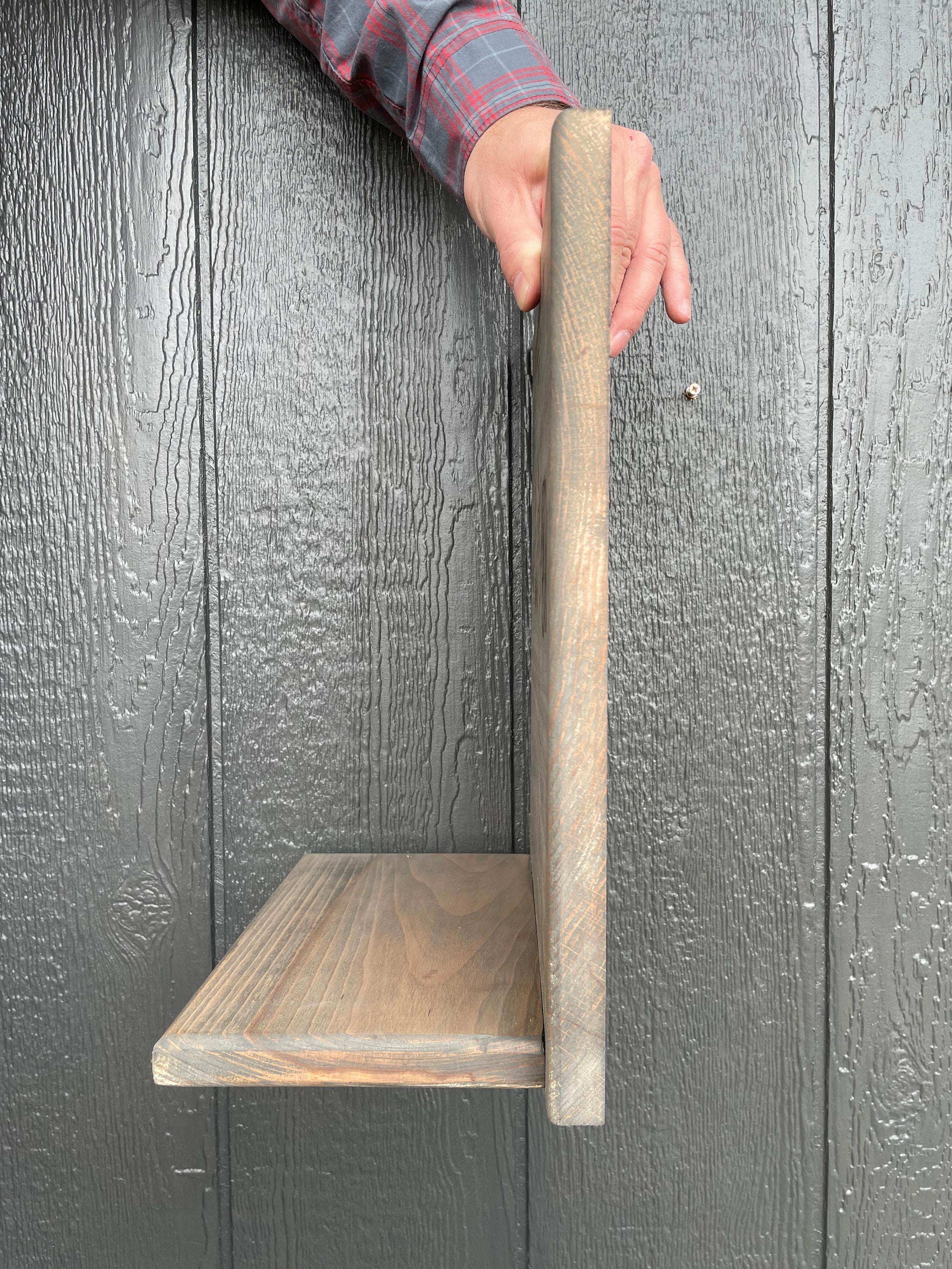 European Bear Skull Wall Mount With Pine Tree Mountains Custom European ...