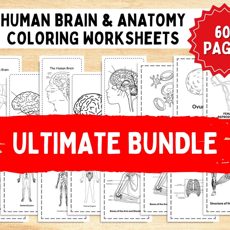Human Anatomy Printable - Etsy