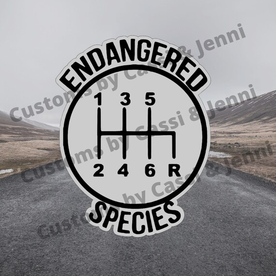 Endangered Species Stick Shift PNG JPG SVG - Etsy