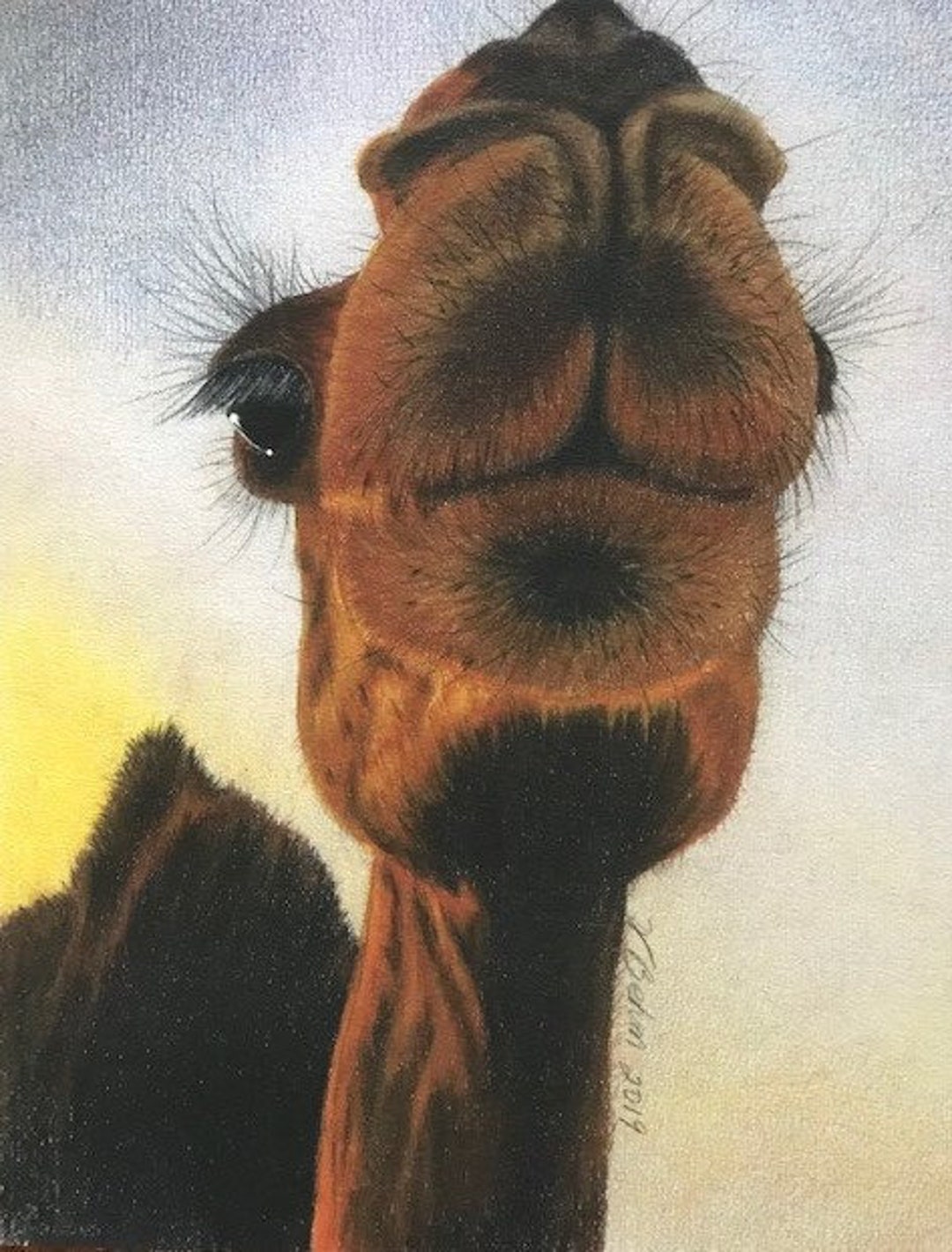 Camel Art - Etsy