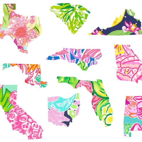 Lilly Inspired Name Vinyl Decal Monogram Sticker - Etsy