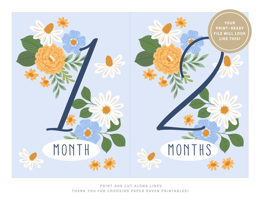 PRINTABLE Baby Monthly Milestone Cards 12 Month Cards Baby Markers Baby ...