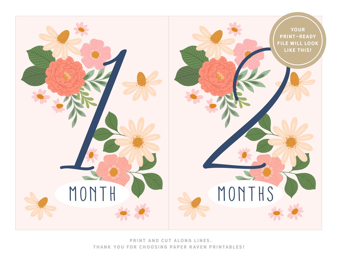 PRINTABLE Baby Monthly Milestone Cards 12 Month Cards - Etsy