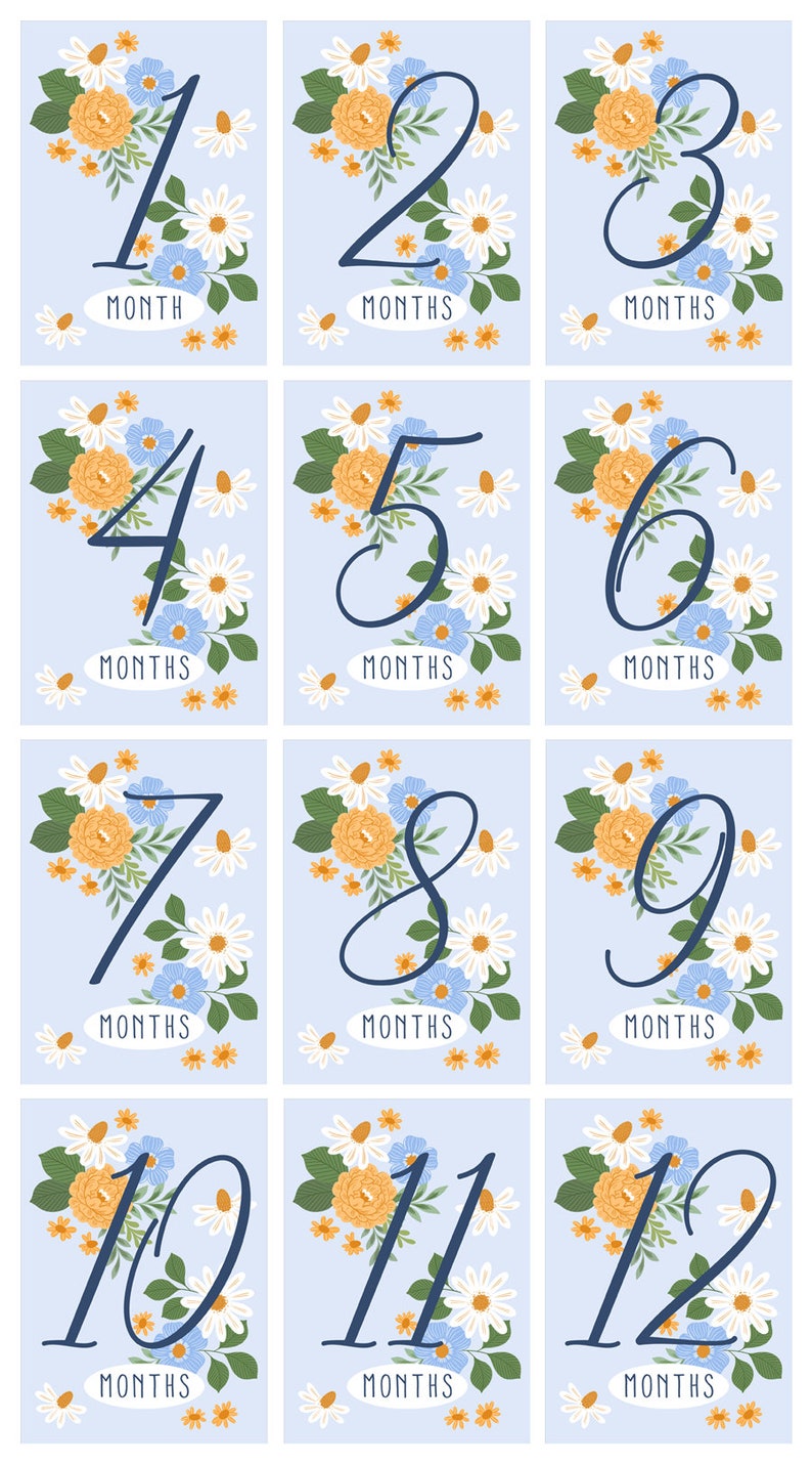 PRINTABLE Baby Monthly Milestone Cards 12 Month Cards Baby Markers Baby ...