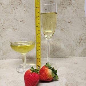 Fake Champagne or Wine / You Choose the Cup! - Etsy