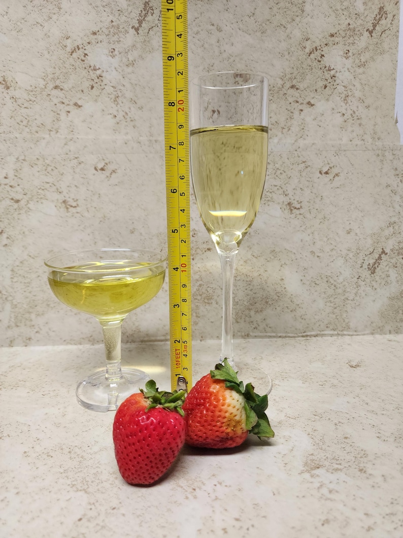 Fake Champagne or Wine / You Choose the Cup! - Etsy