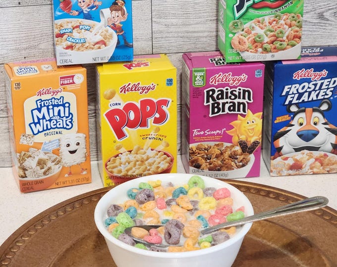 Medium Size Fake Cereal Bowl / You Choose the Cereal - Etsy