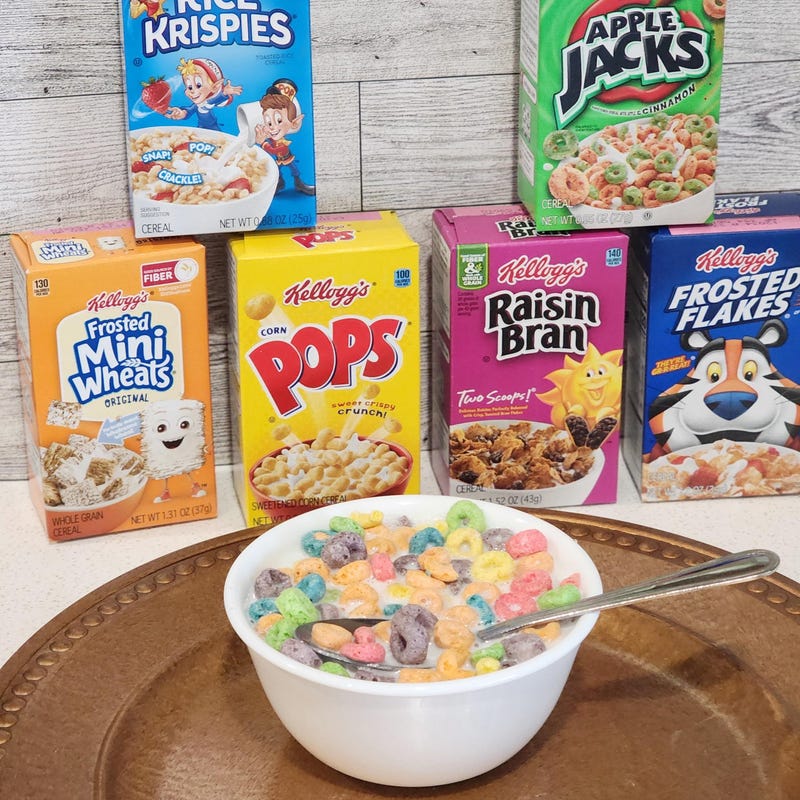 Fake Cereal in Bowl - Etsy