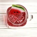 Fake Watermelon Moonshine: Faux Cocktail Photo Prop - Etsy