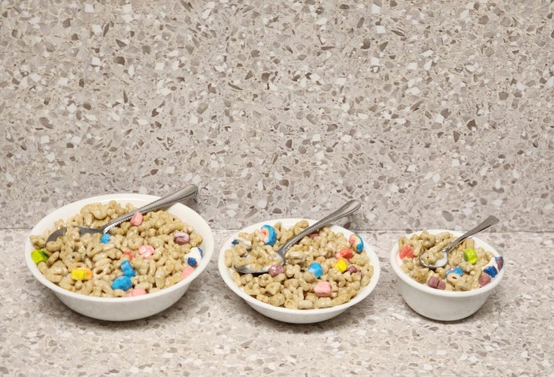 Medium Size Fake Cereal Bowl / You Choose the Cereal - Etsy