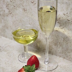 Fake Champagne or Wine / You Choose the Cup! - Etsy