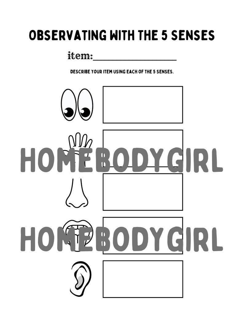 5 Senses Worksheet | Preschool | PDF | Homeschooling | Science ...