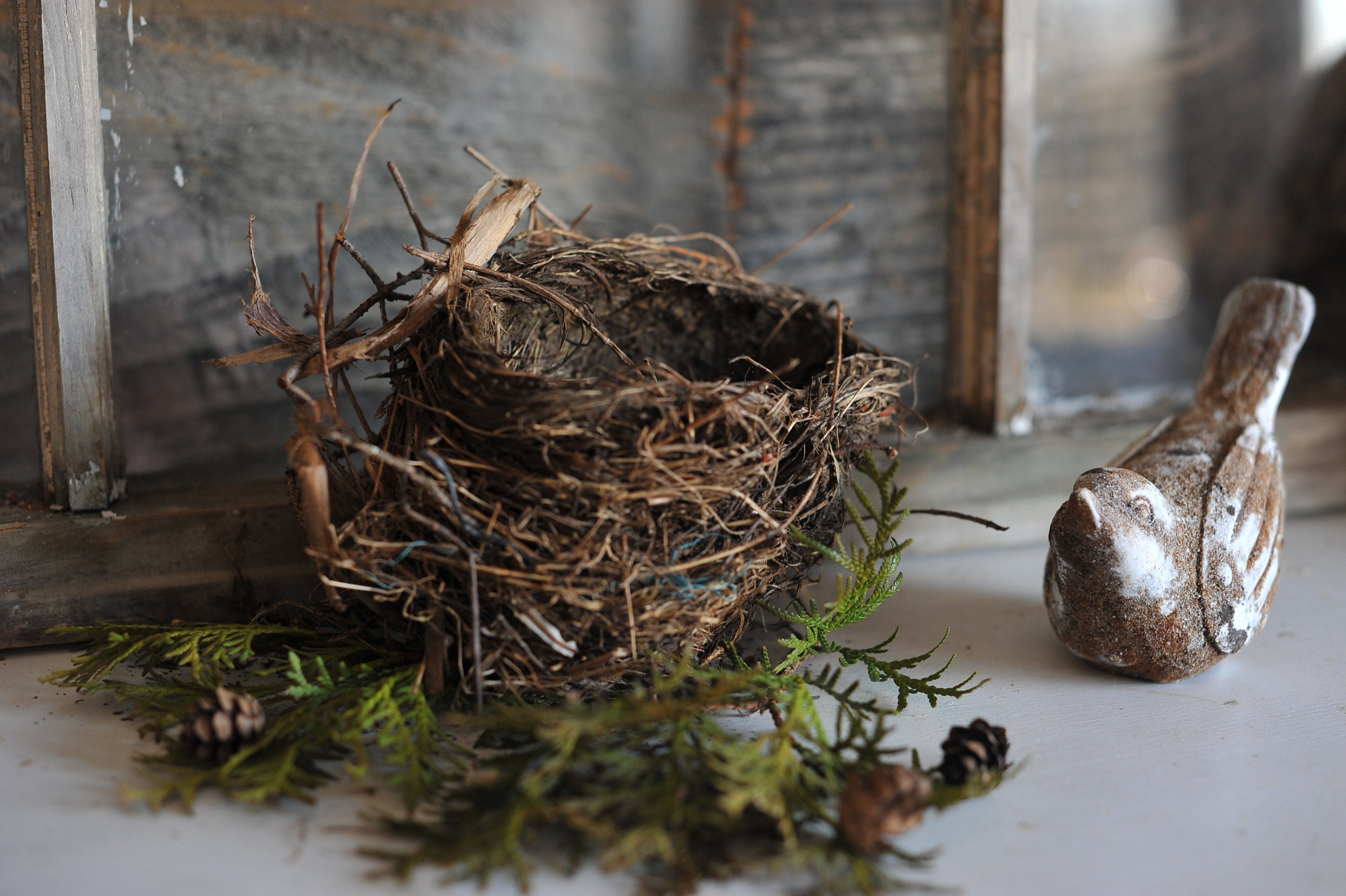 Real, Delicate Odd Shaped Bird's Nest, Birds Nest Made From Mud and ...