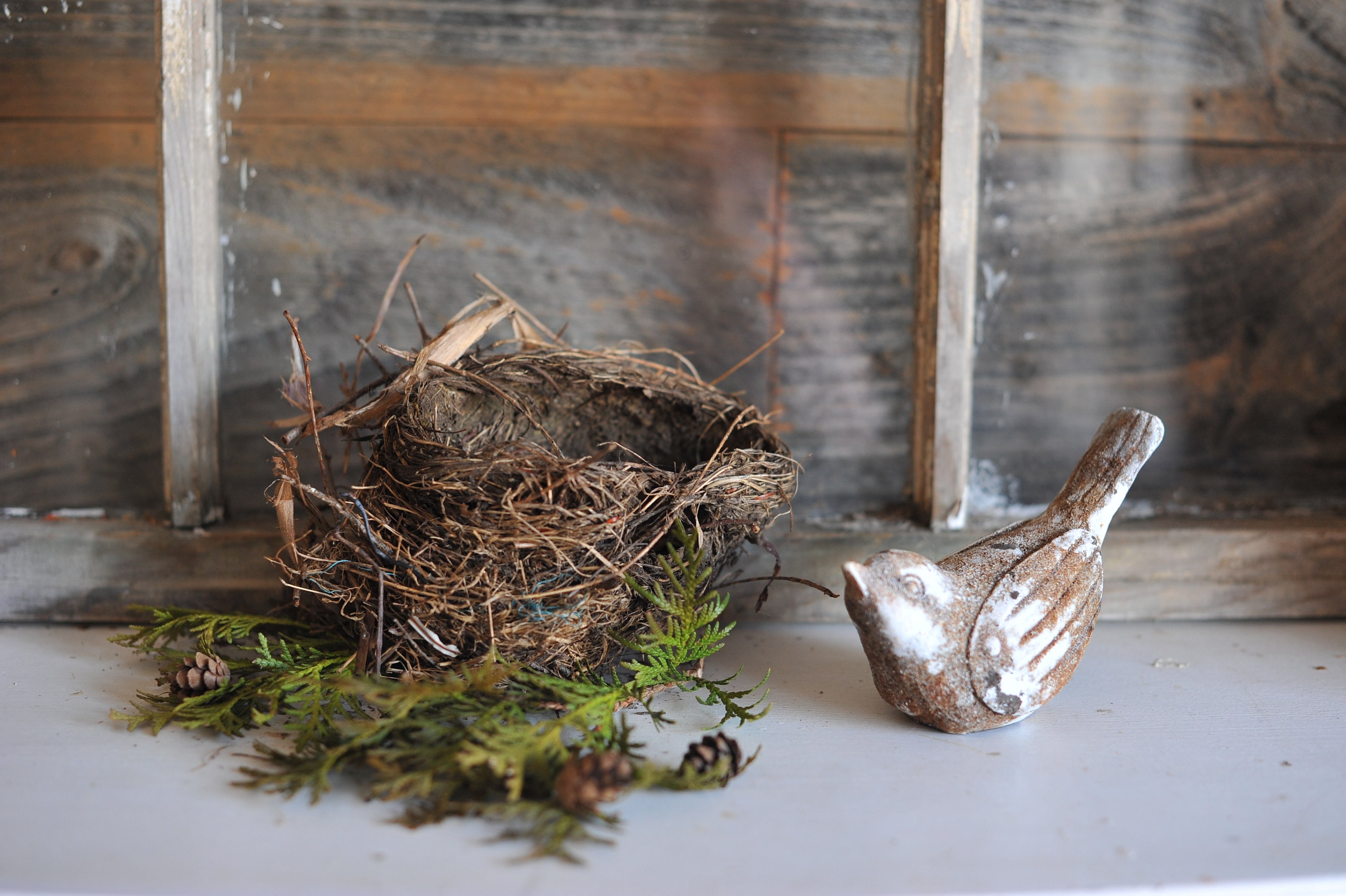 Real, Delicate Odd Shaped Bird's Nest, Birds Nest Made From Mud and ...