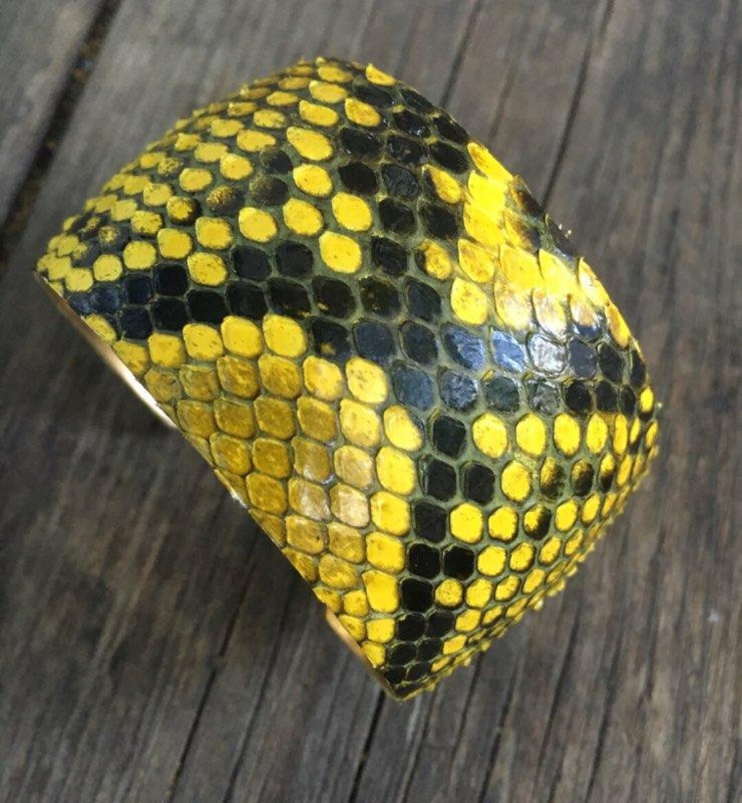 1.5" Genuine Python on Solid Brass - Etsy