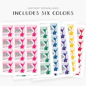 Cheer Team Good Luck Gift, Candy Favor Tags, Cheerleading, Competition ...