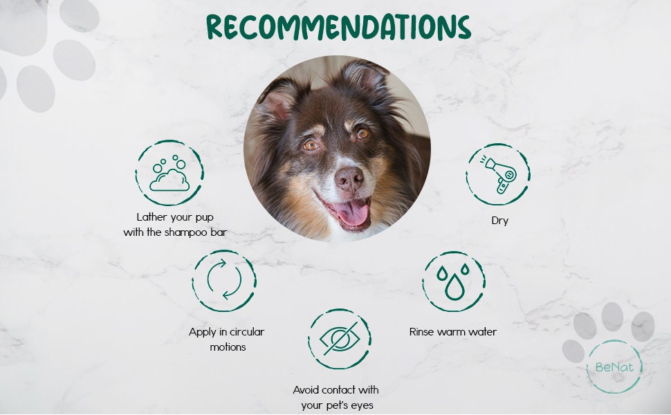 Benat Pets. All-natural Pet Shampoo Bar. Oat. 5.8 Oz. - Etsy