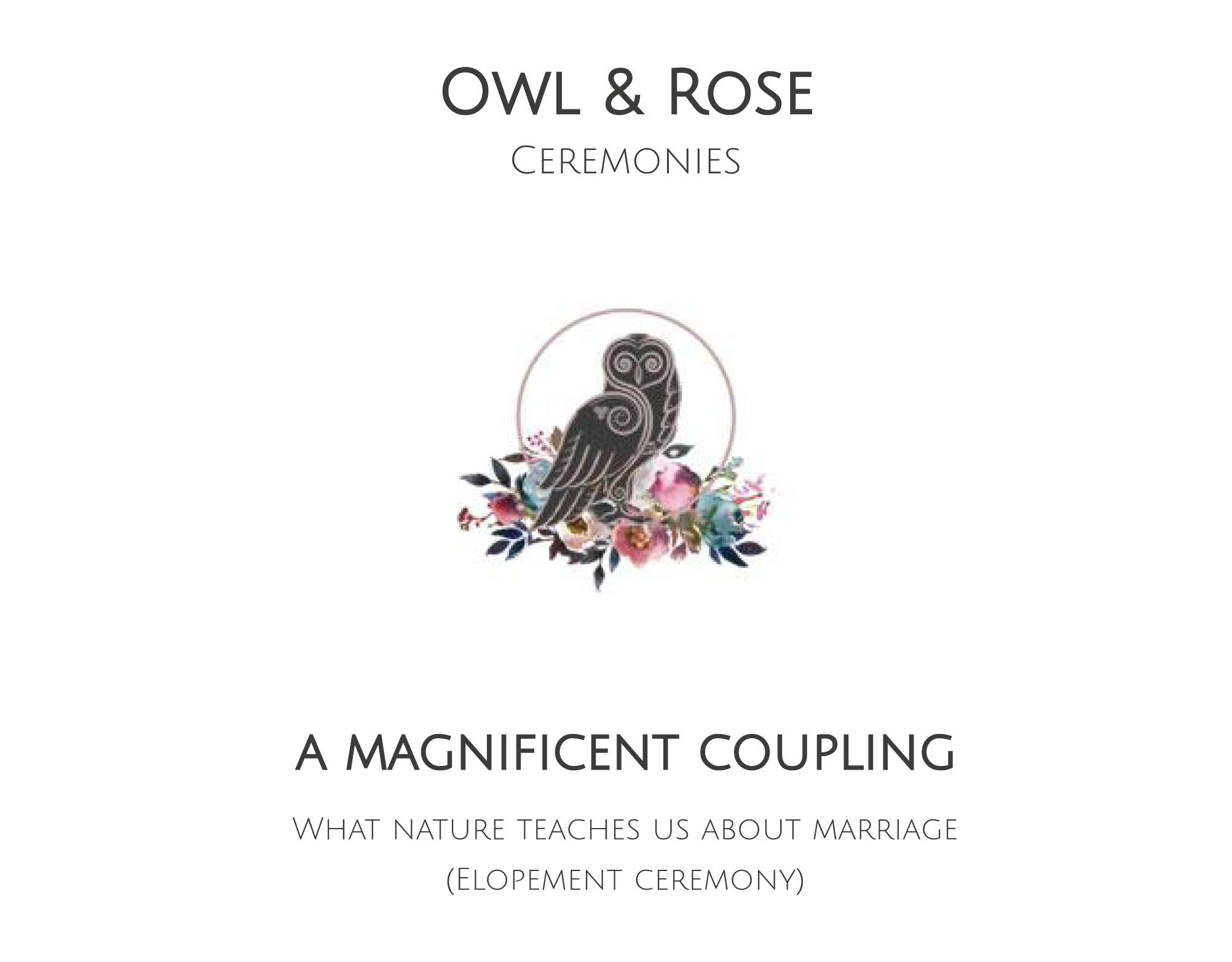 Elope Script A Magificent Coupling Elopement Script | Etsy