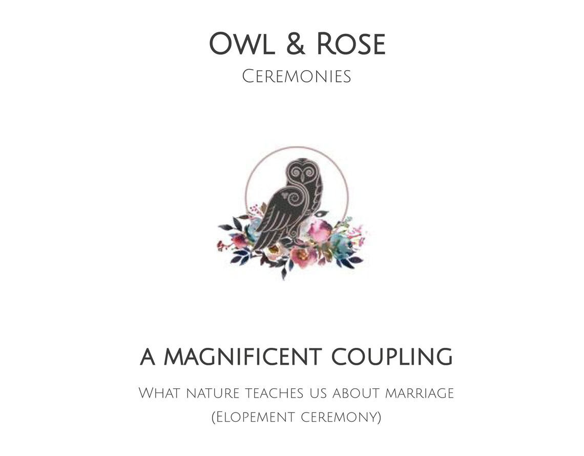 Elopement Ceremony Script Bundle Elopement Script PDF Bundle - Etsy
