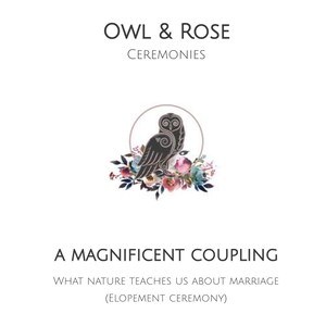 Elopement Ceremony Script Bundle Elopement Script PDF Bundle - Etsy