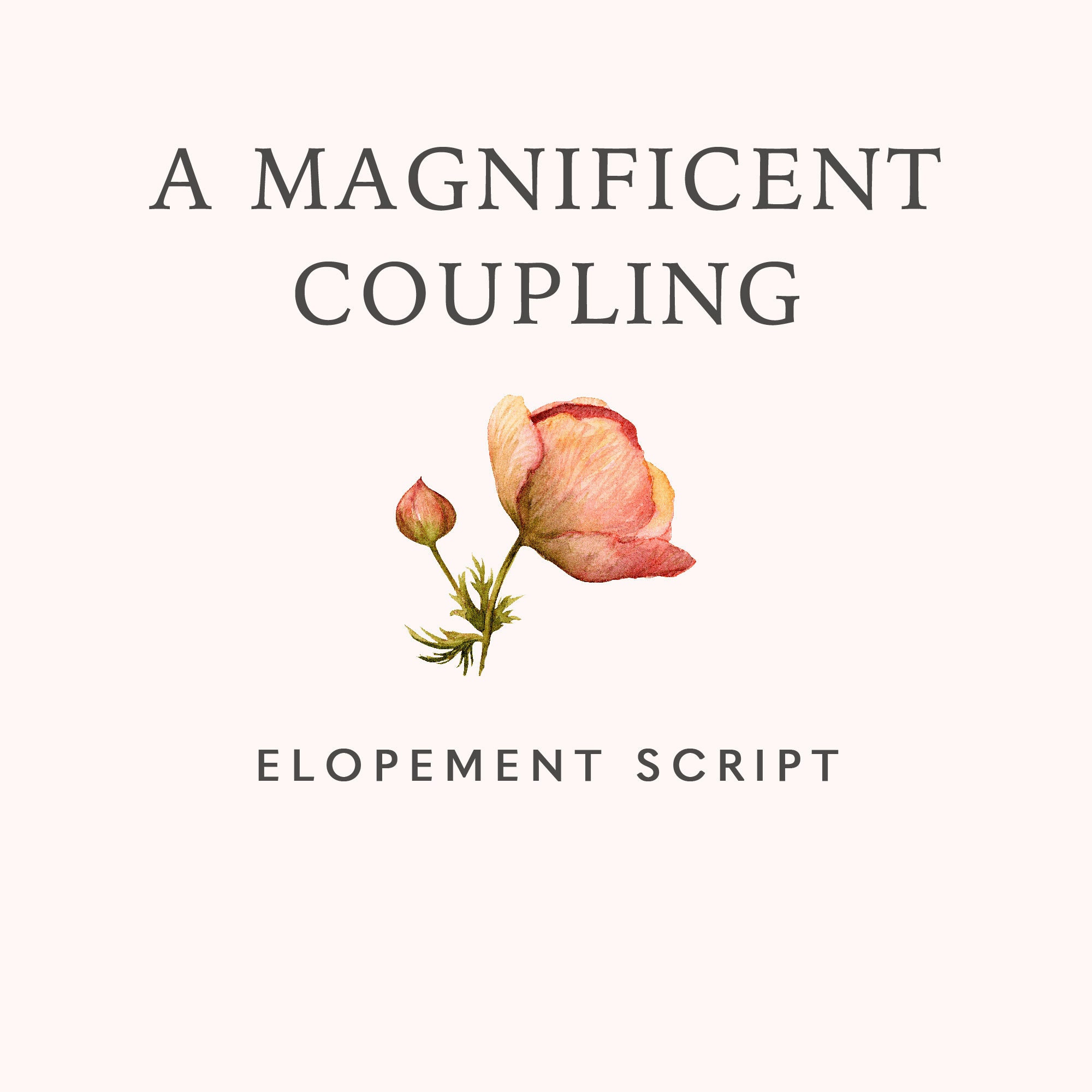 Elopement Ceremony Script Bundle | Editable Ceremony Scripts for ...