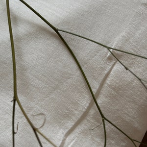 Organic Peace Silk With Khadi Fabric Ahimsa Sustainable Non-violent ...