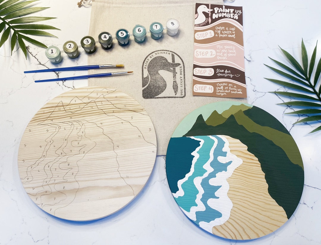 Paint by Number - Paint by Number Kit - DIY Paint Kit, Adult Paint Kit ...