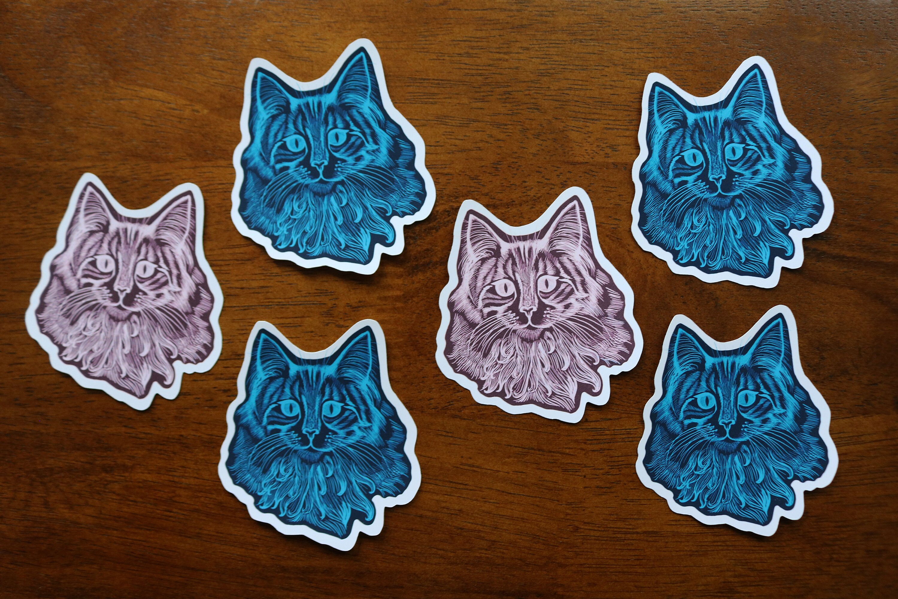 Cat Sticker / Cat Matte Vinyl Sticker / Strong Adhesive / | Etsy