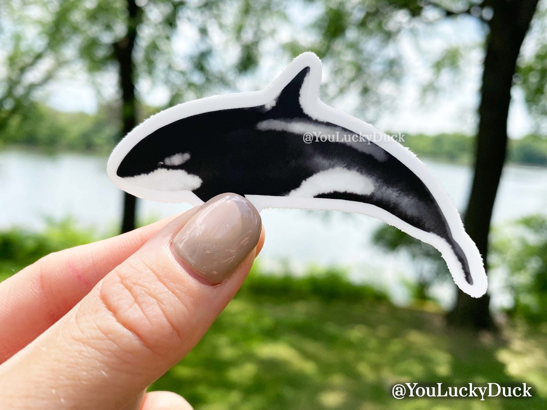 Orca Whale Weatherproof Matte Vinyl Sticker | Killer Whale Sticker ...