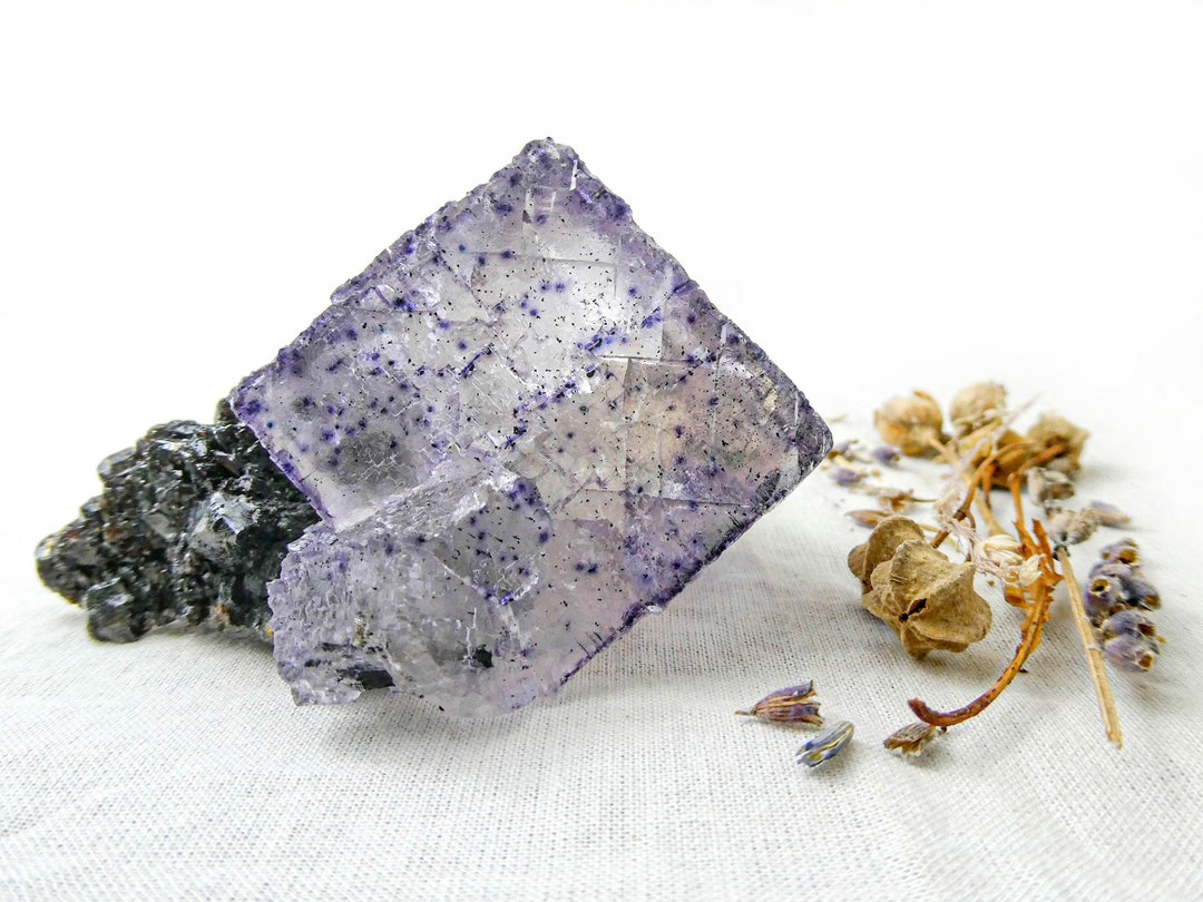 Purple Fluorite With Sphalerite Specimen From the Elmwood Mine ...