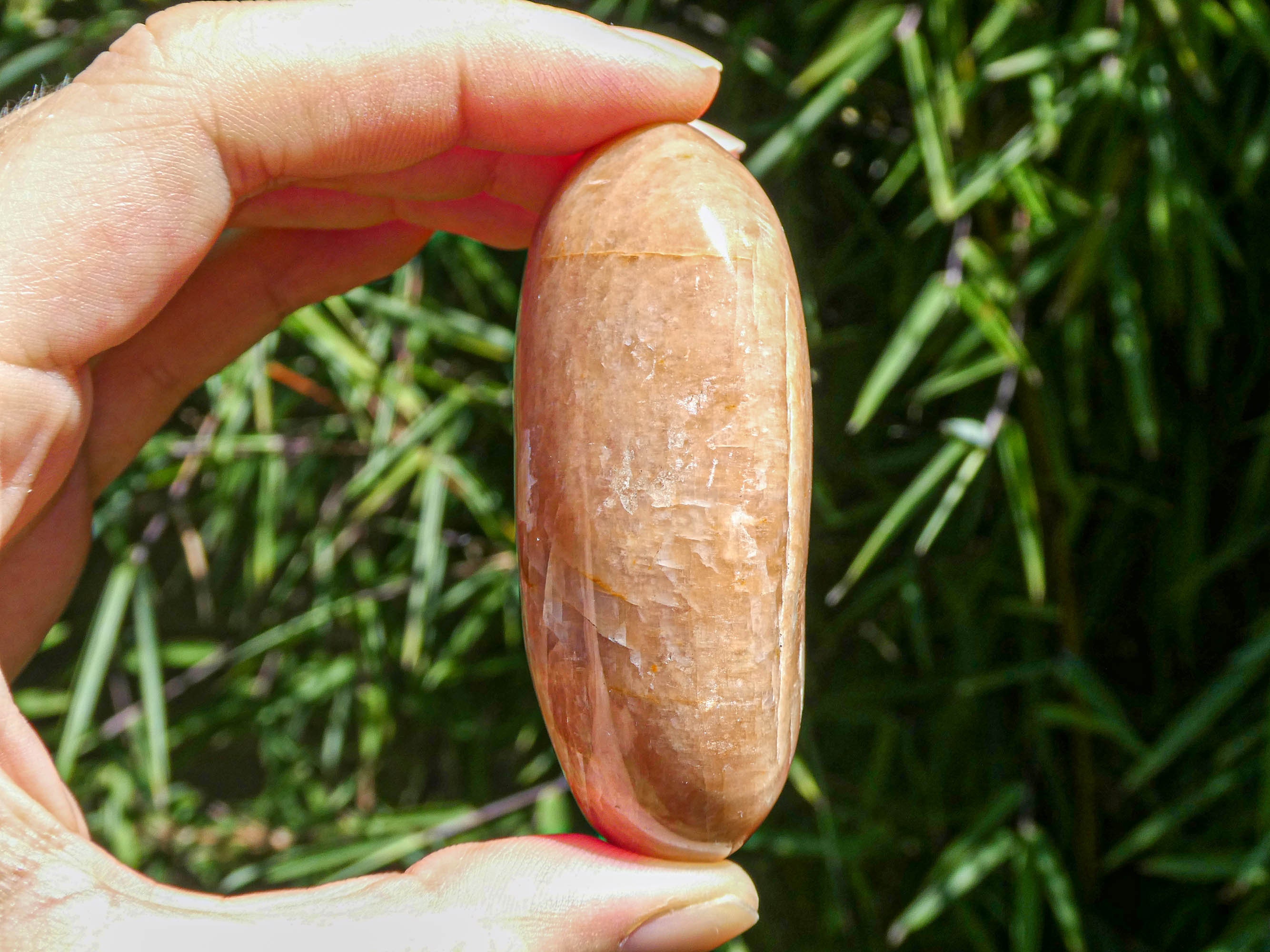 Peach Moonstone Palm Stone Large Polished Chatoyancy Pebble - Etsy UK