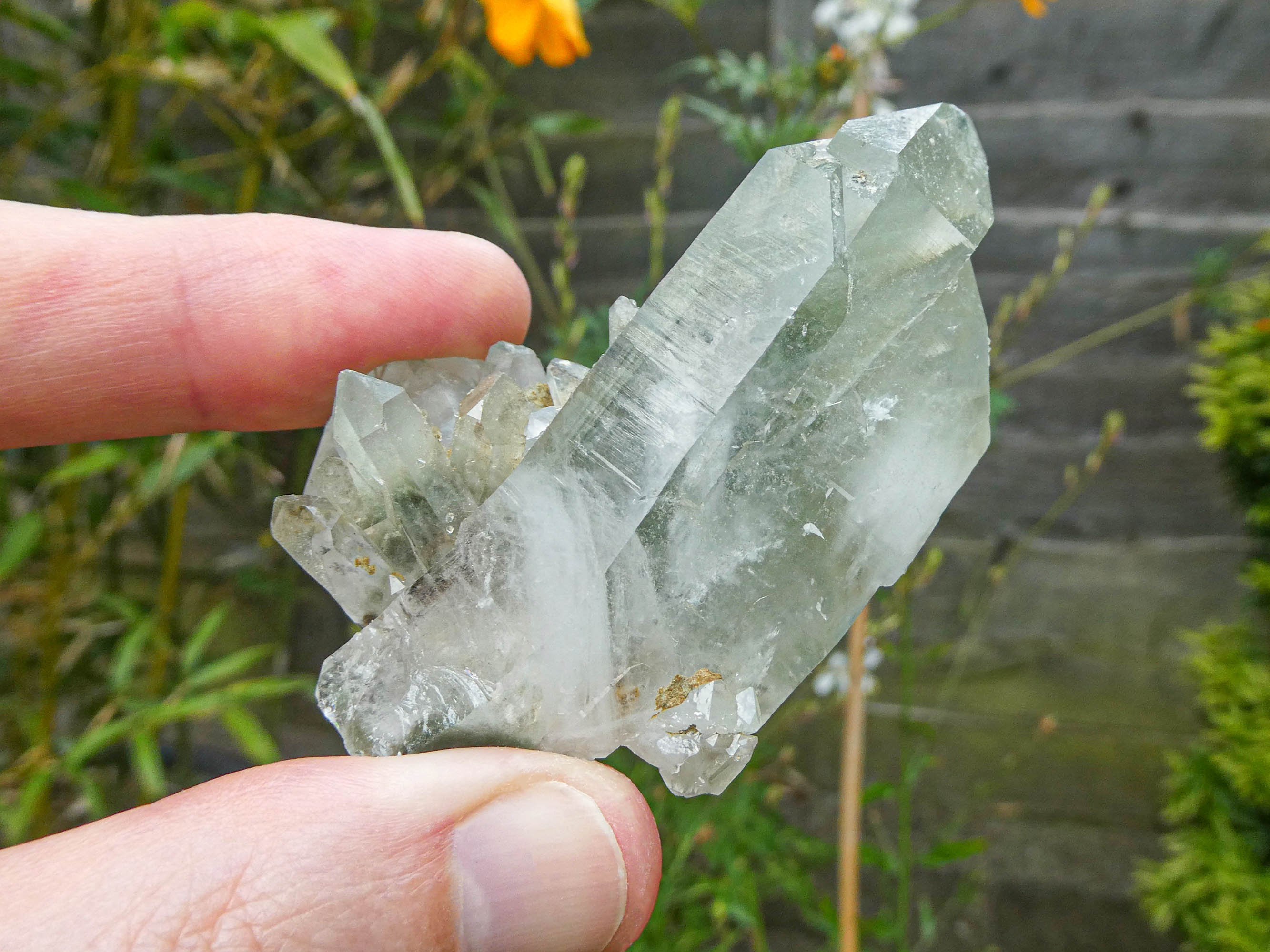 Chlorite Quartz Crystal Specimen: Raw Green Lodolite Cluster - Etsy ...