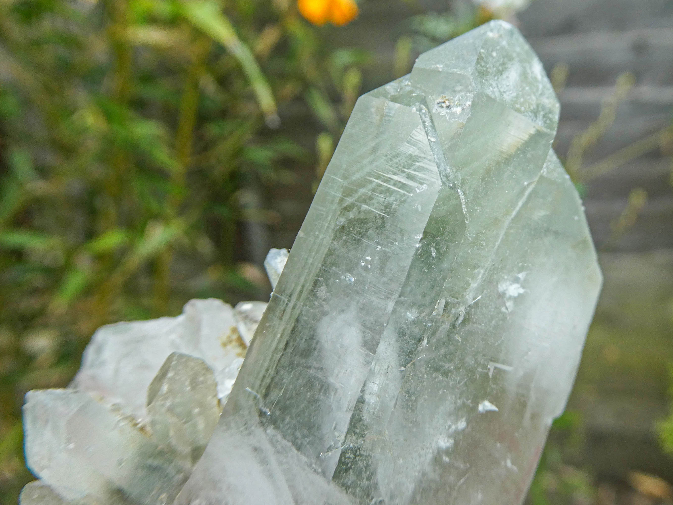 Chlorite Quartz Crystal Specimen: Raw Green Lodolite Cluster - Etsy ...