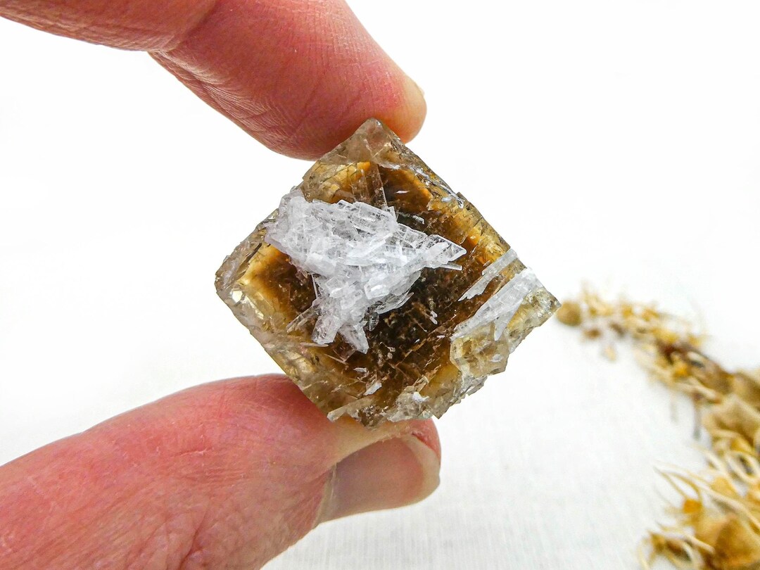 Fluorite With Celestine Specimen From Clay Center, Ohio, USA • Rare ...