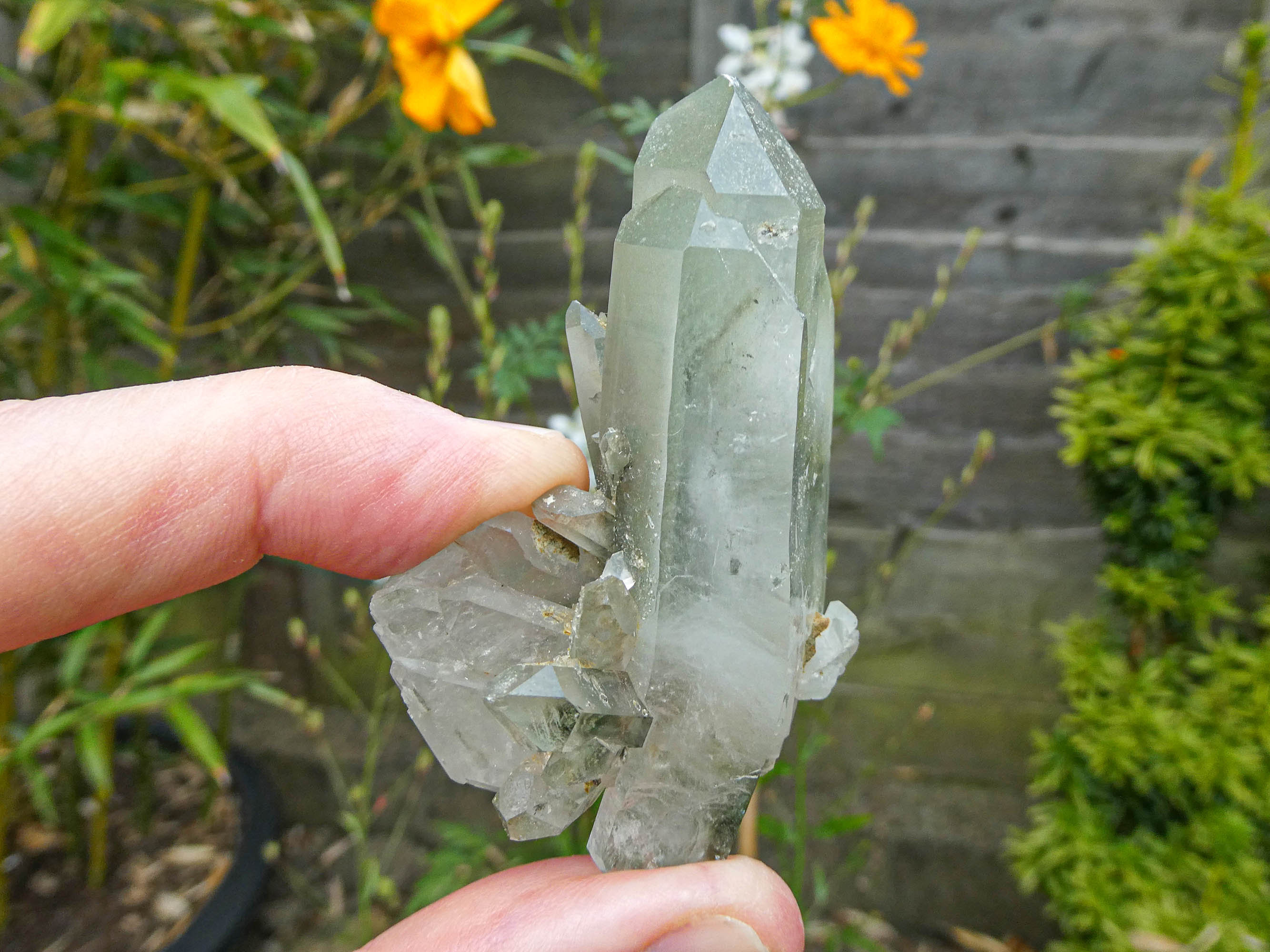 Chlorite Quartz Crystal Specimen: Raw Green Lodolite Cluster - Etsy ...