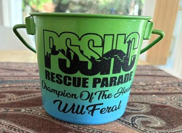 Custom Powder Coated Stainless Steel Water Pails - Etsy