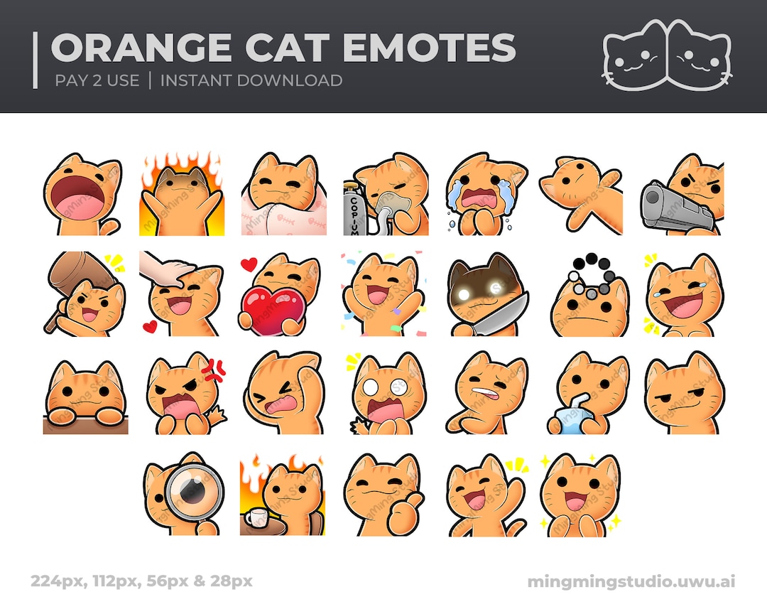 Orange Cat Emotes 26 Cute Cat Emotes for Twitch And/or Discord CE00300 ...