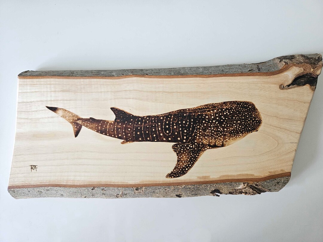 Whale Shark Wood Burning Pyrography Art "gentle Giant" - Etsy