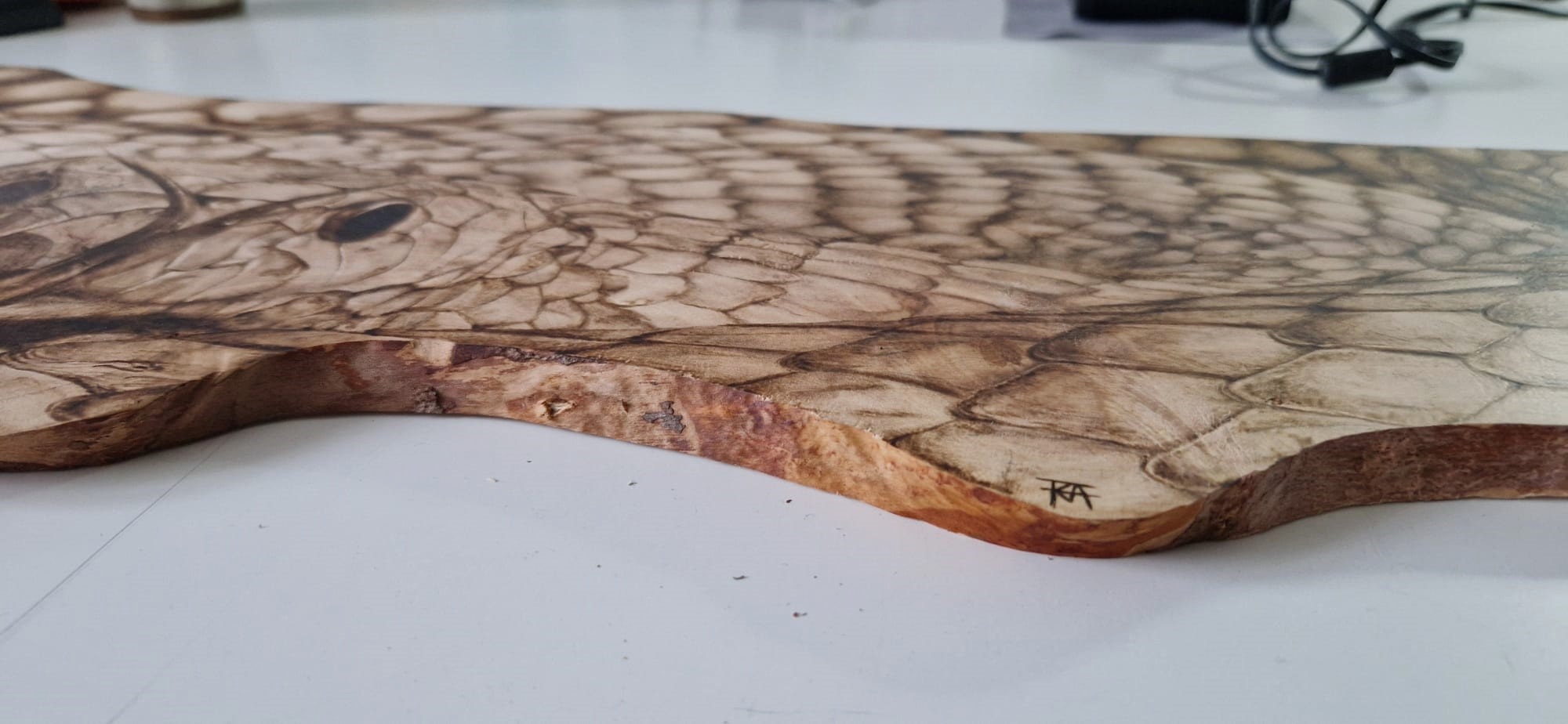 Brown Snake Wood Burning definitely Not Venomous - Etsy