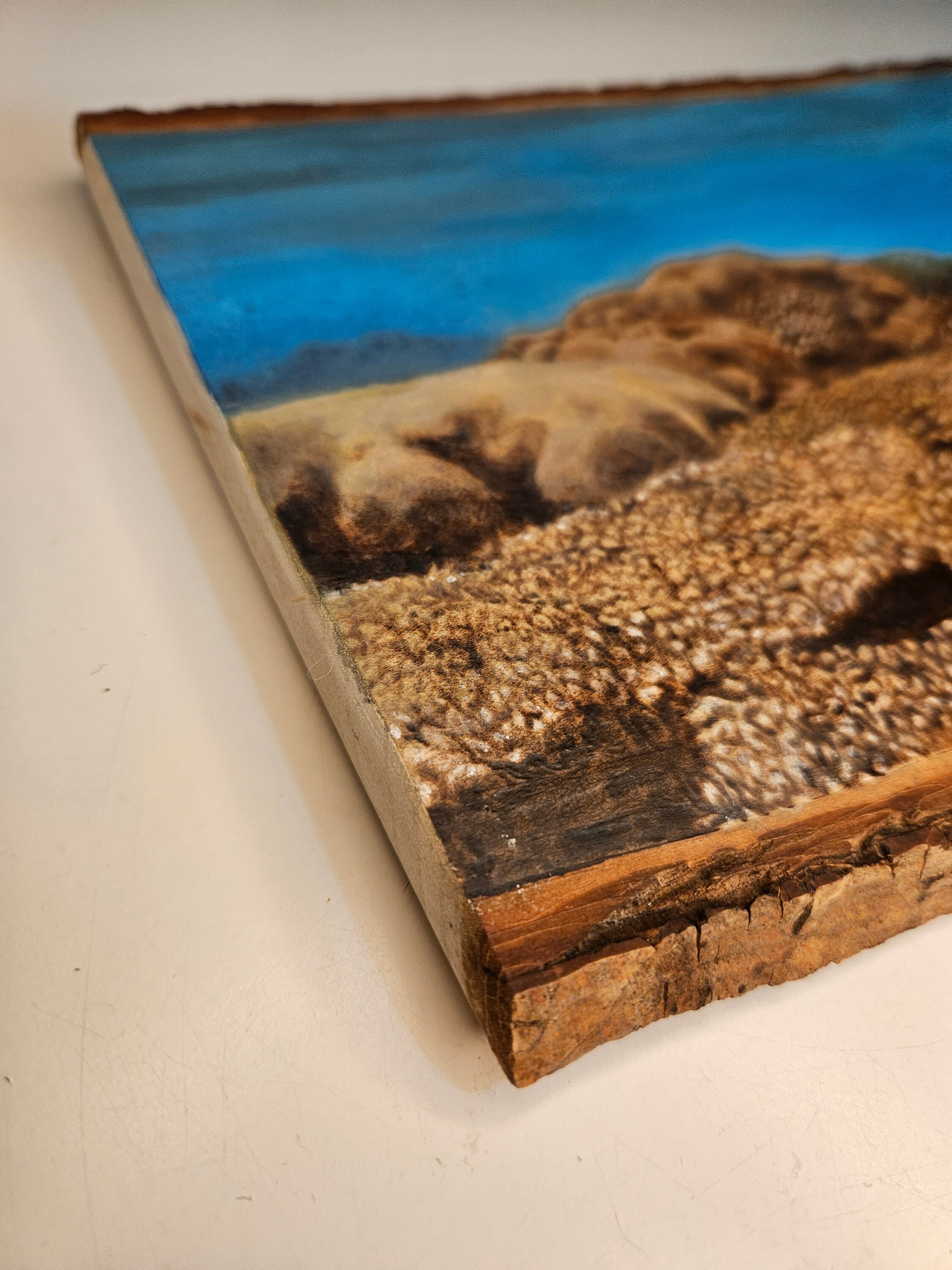 Coral Reef Wood Burning Pyrography Art take a Picture, Itll Last Longer ...