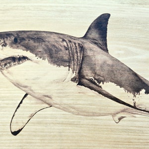 Great White Shark Wood Burning Pyrography Art "bruce" - Etsy