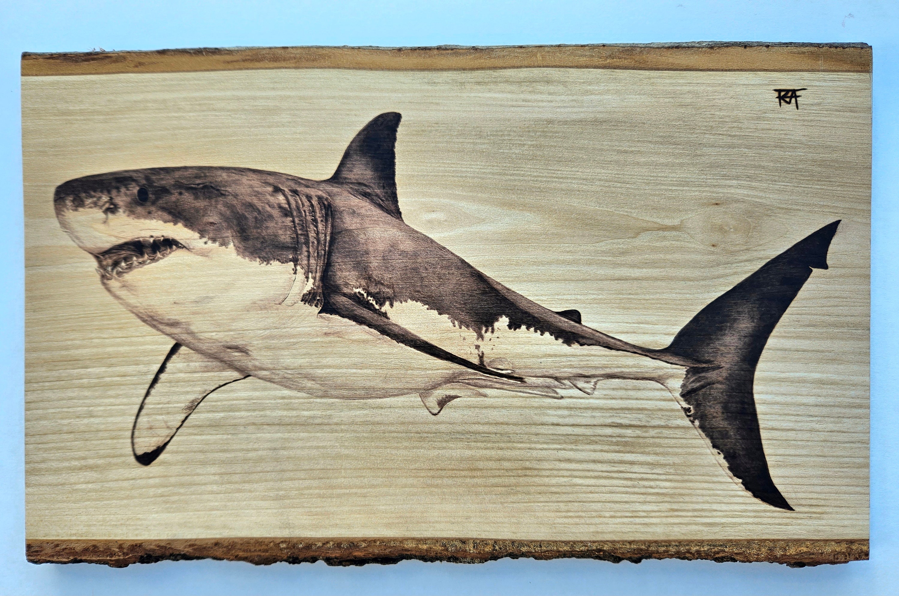 Great White Shark Wood Burning Pyrography Art "bruce" - Etsy